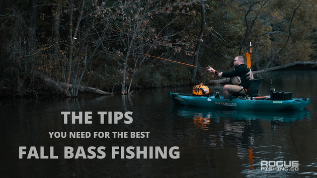 The Tips You Need for the Best Fall Bass Fishing – Rogue Fishing Co.